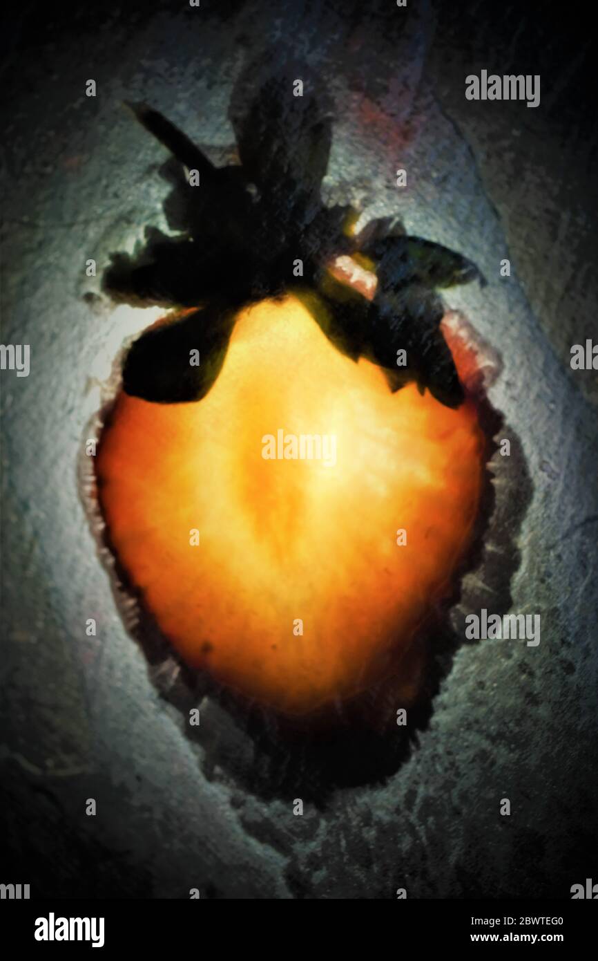 Strawberry slice under wet kitchen roll sheet Stock Photo - Alamy