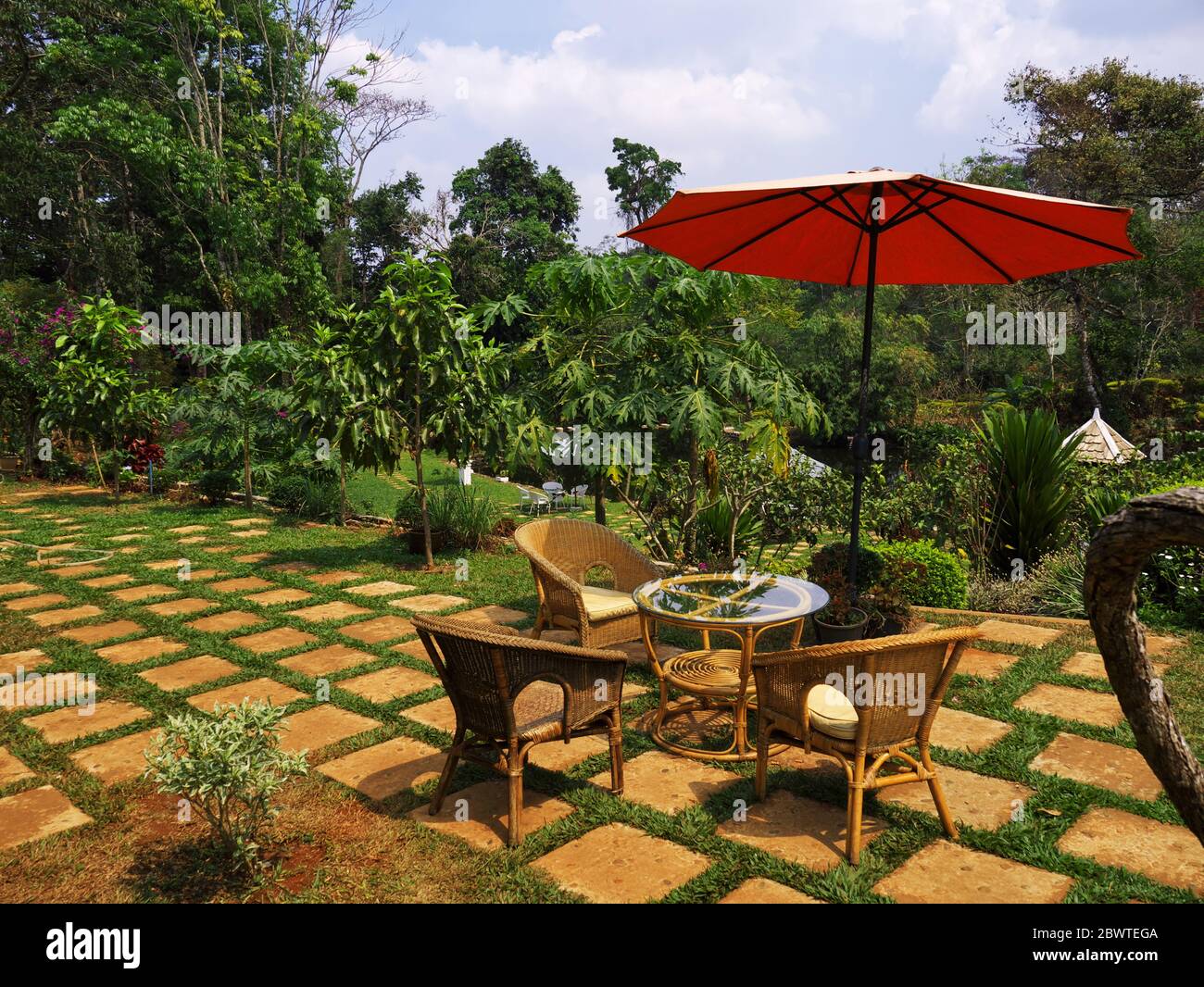 Laos Coffee Plantation _ Paksong Highland Official – XMLNW