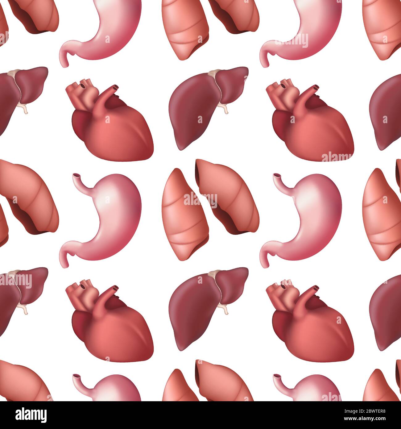 Seamless pattern of internal human organs. Vector illustration of liver ...