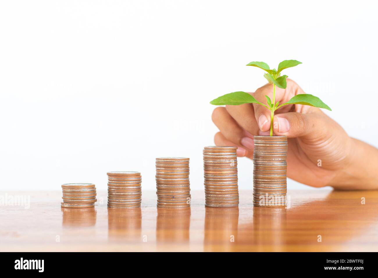 Money growth Saving money. coins to shown concept of growing business ...