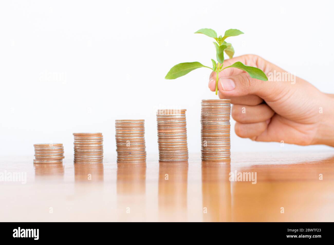 Money growth Saving money. coins to shown concept of growing business ...