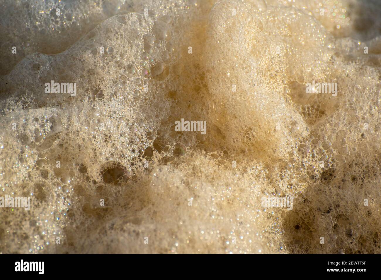 Sea foam at hi-res stock photography and images - Alamy