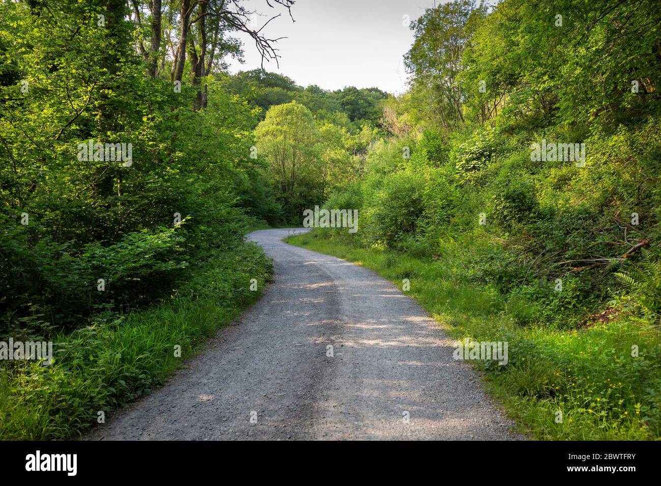 Rural country scene path winding hi-res stock photography and images ...