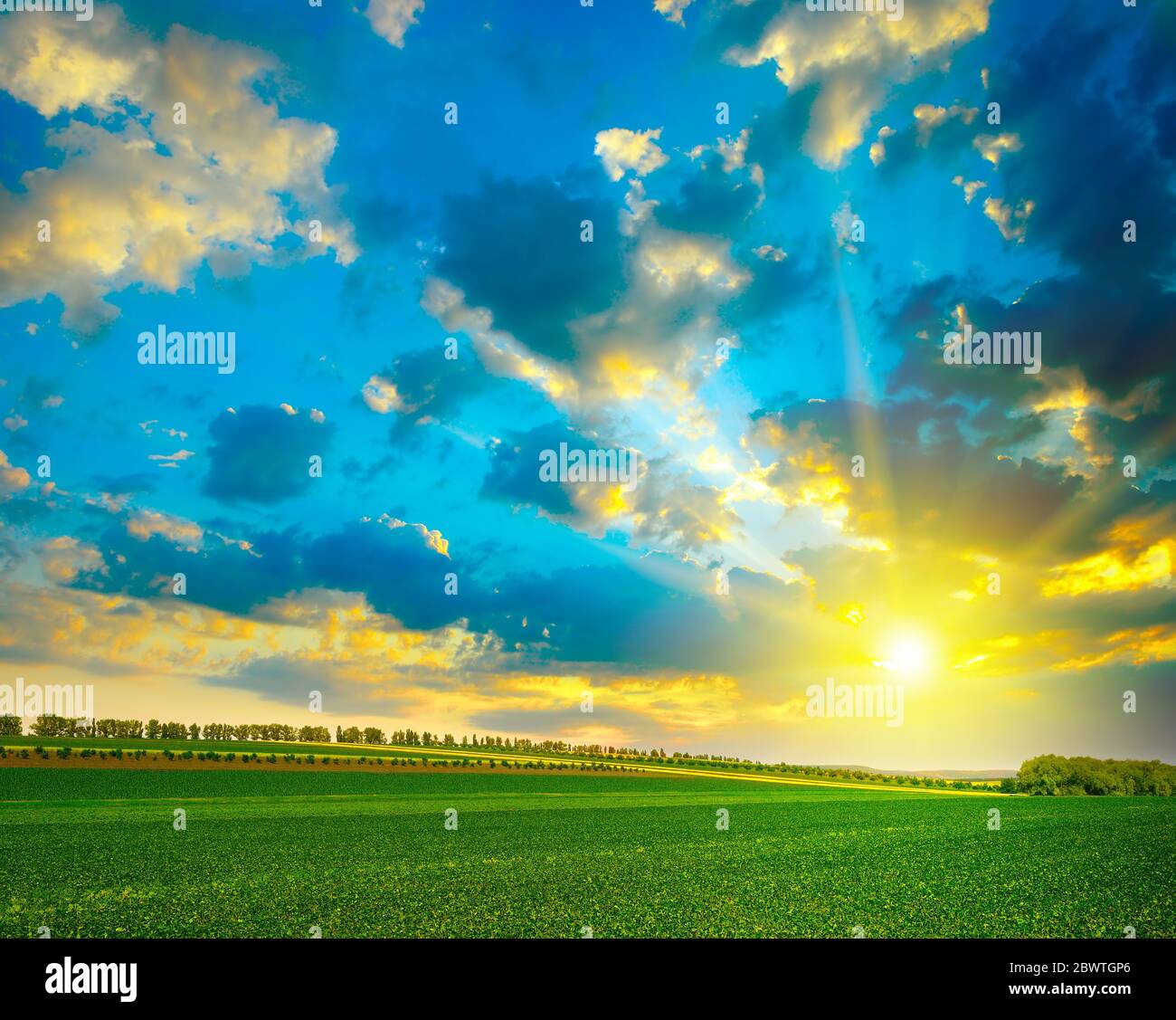 Bright sunny farm view hi-res stock photography and images - Alamy