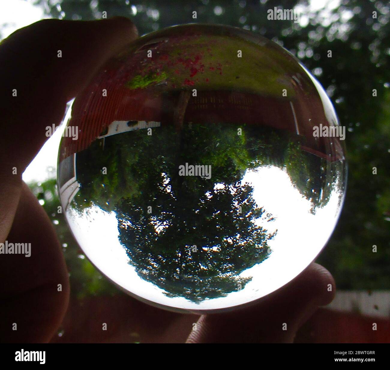 Lensball photography credit Ian Fairbrother/Alamy Stock Photos Stock ...