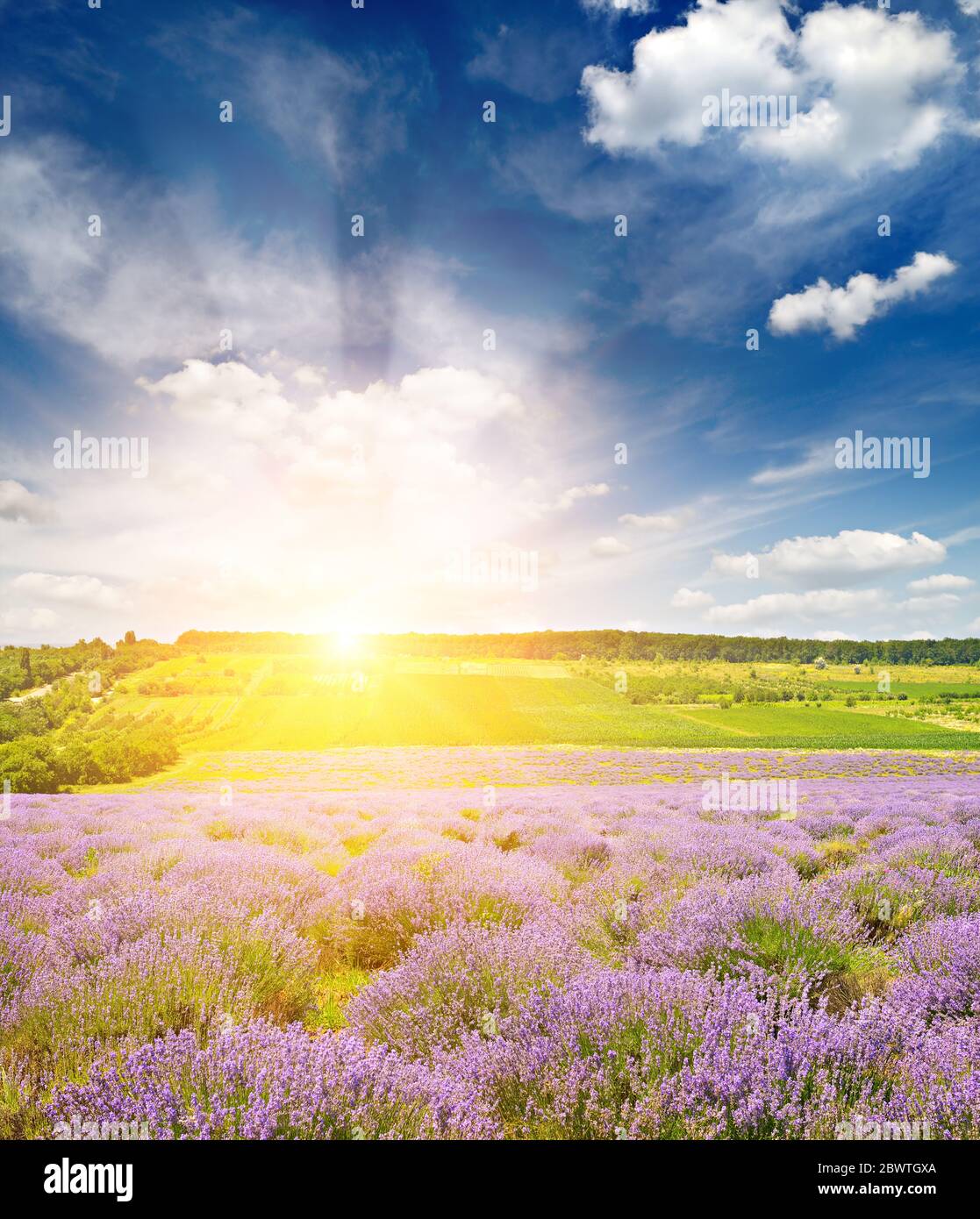 The blazing sun hi-res stock photography and images - Alamy