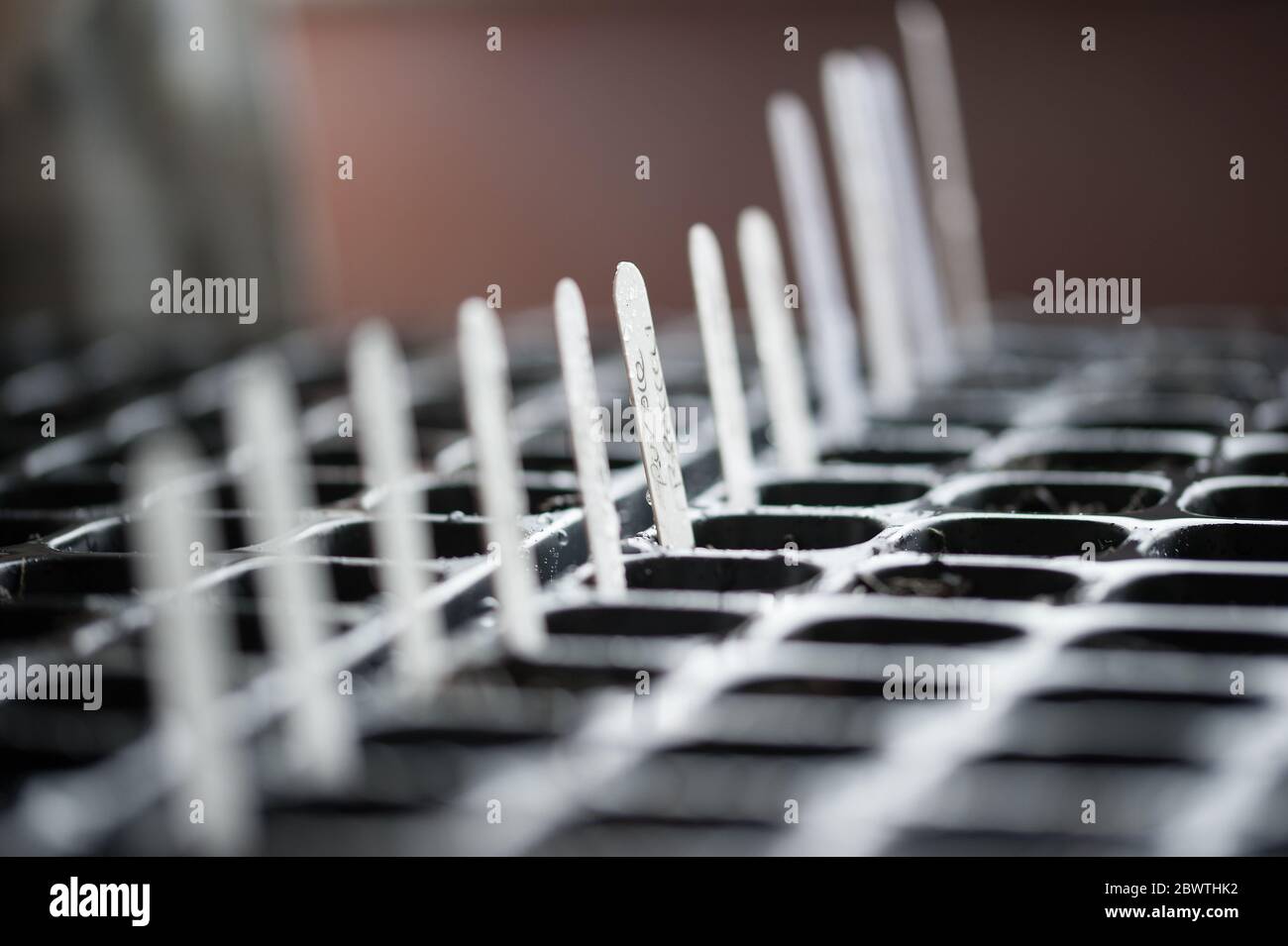 Module trays hi-res stock photography and images - Alamy