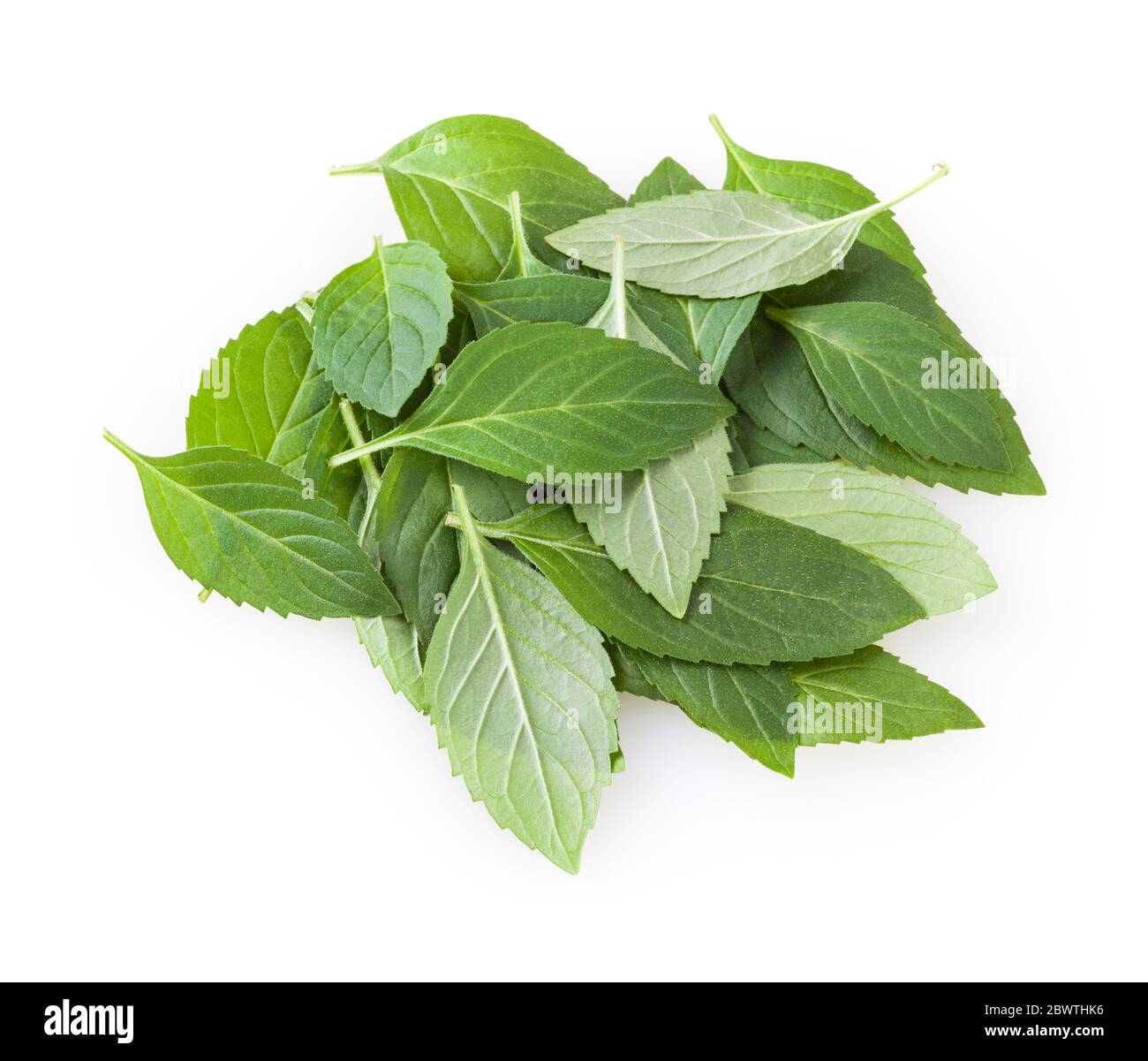 Fresh mint leaves top hi-res stock photography and images - Alamy