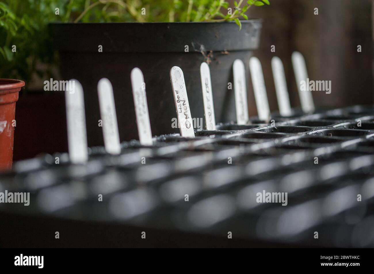 Module trays hi-res stock photography and images - Alamy