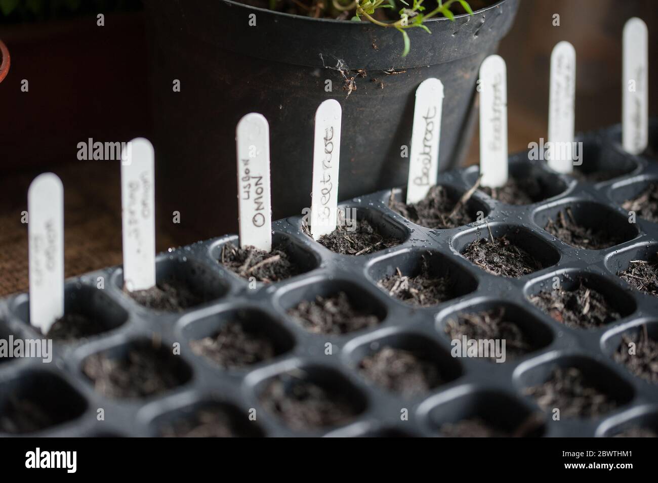 Module trays hi-res stock photography and images - Alamy