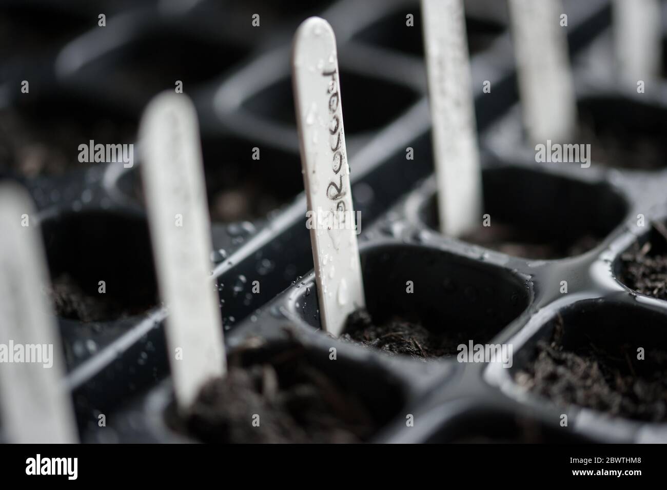 Module trays hi-res stock photography and images - Alamy