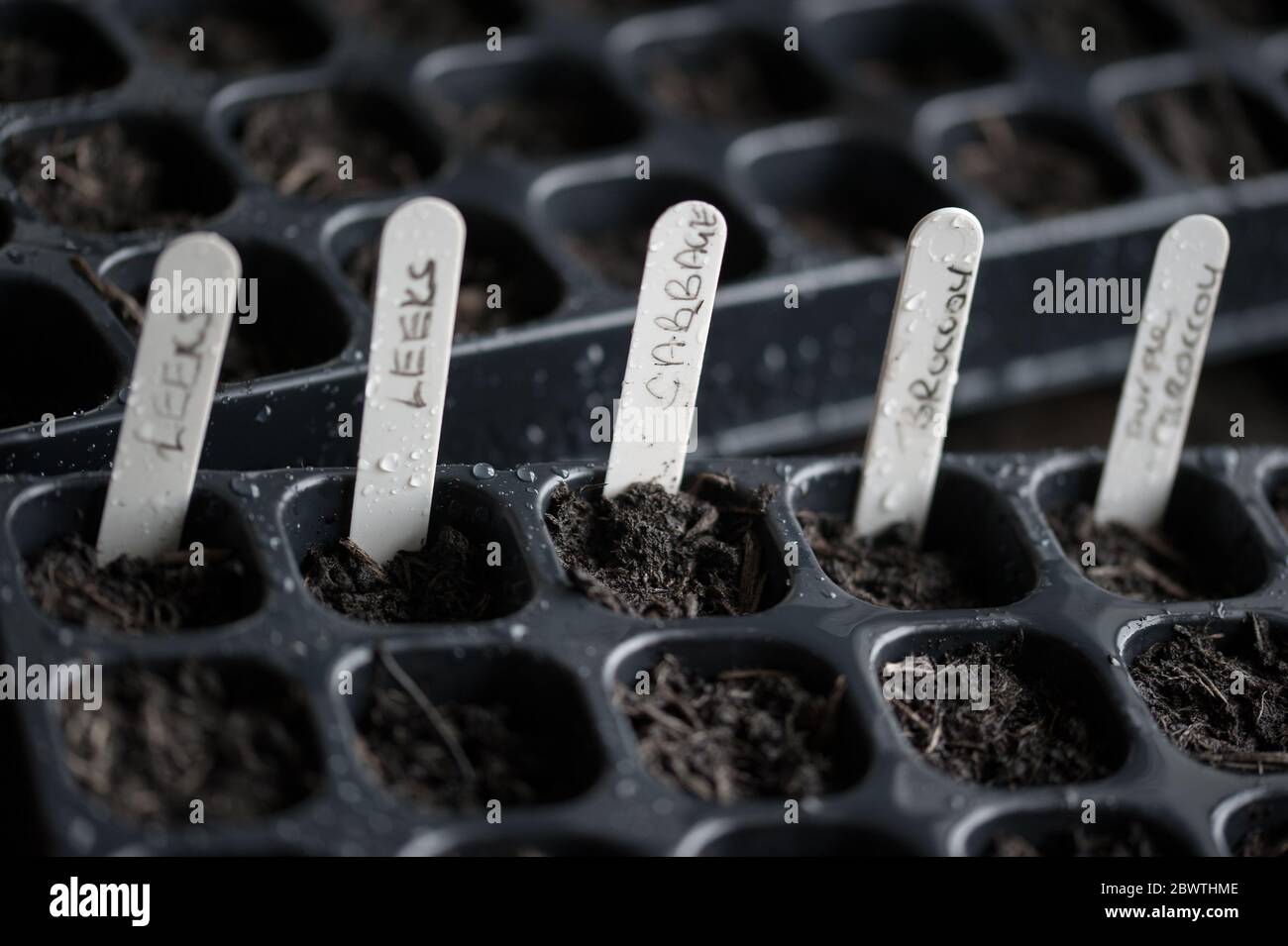 Module trays hi-res stock photography and images - Alamy