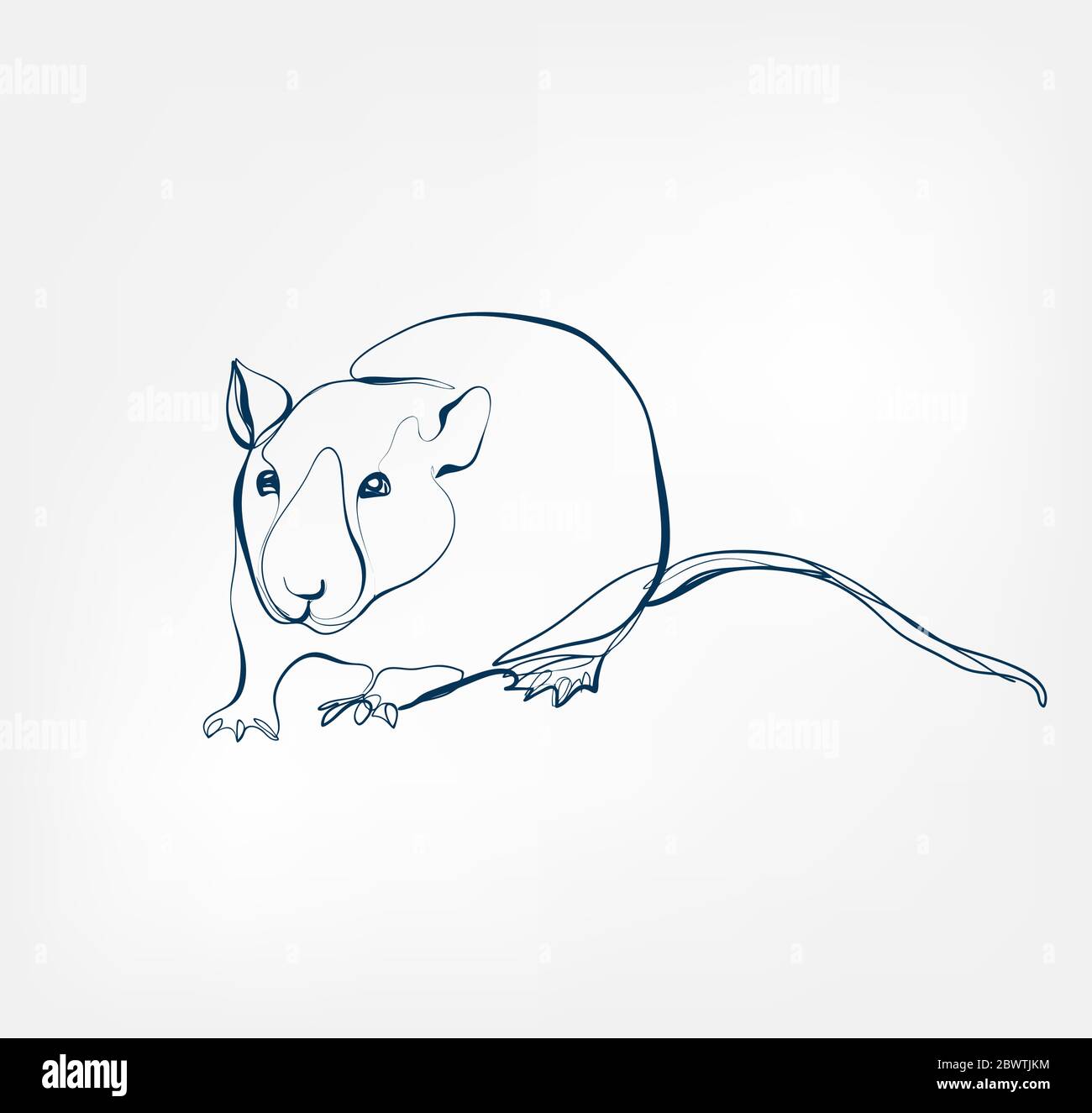 Rat Lines High Resolution Stock Photography and Images - Alamy