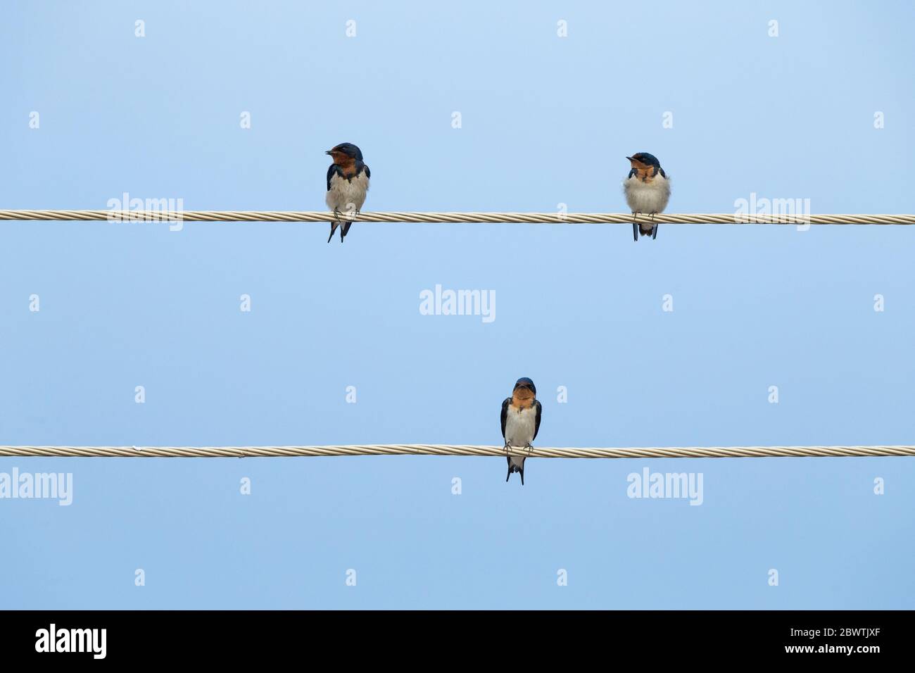 Larabanga hi-res stock photography and images - Alamy