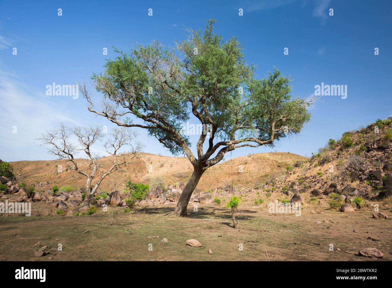 Tongo hills ghana hi-res stock photography and images - Alamy