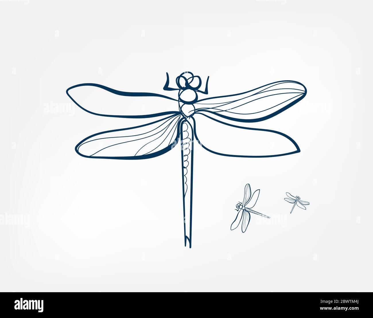 dragonfly insect vector art line isolated doodle Stock Vector Image ...