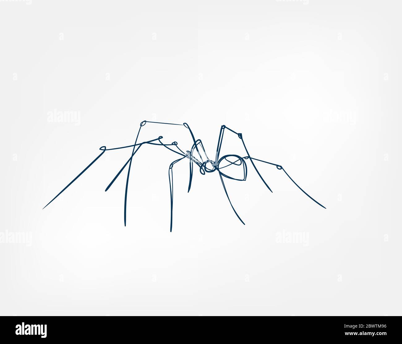 spider vector art line isolated doodle Stock Vector Image & Art - Alamy