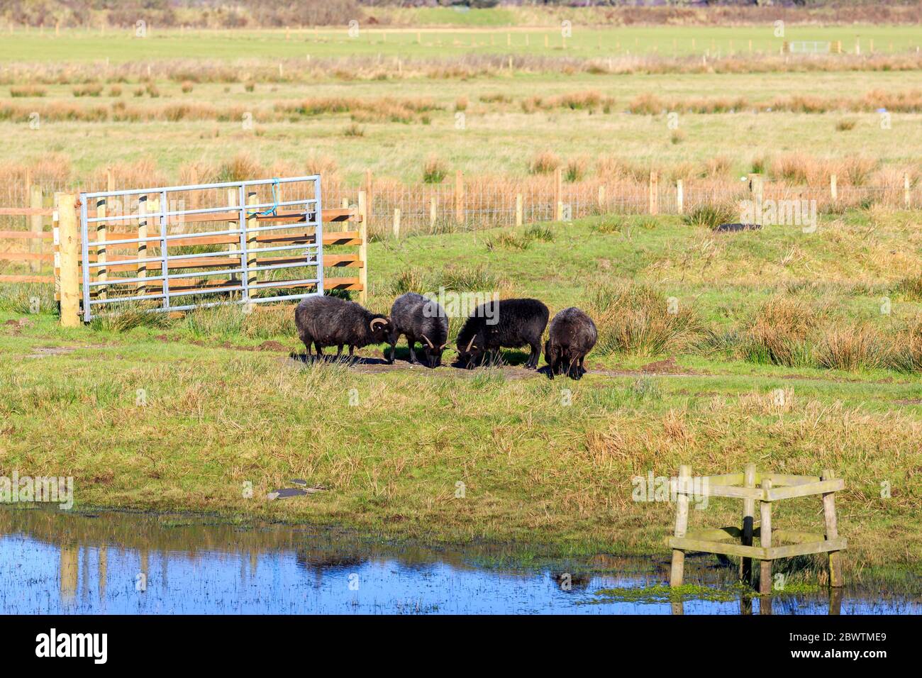 Hebridean scenery hi-res stock photography and images - Alamy