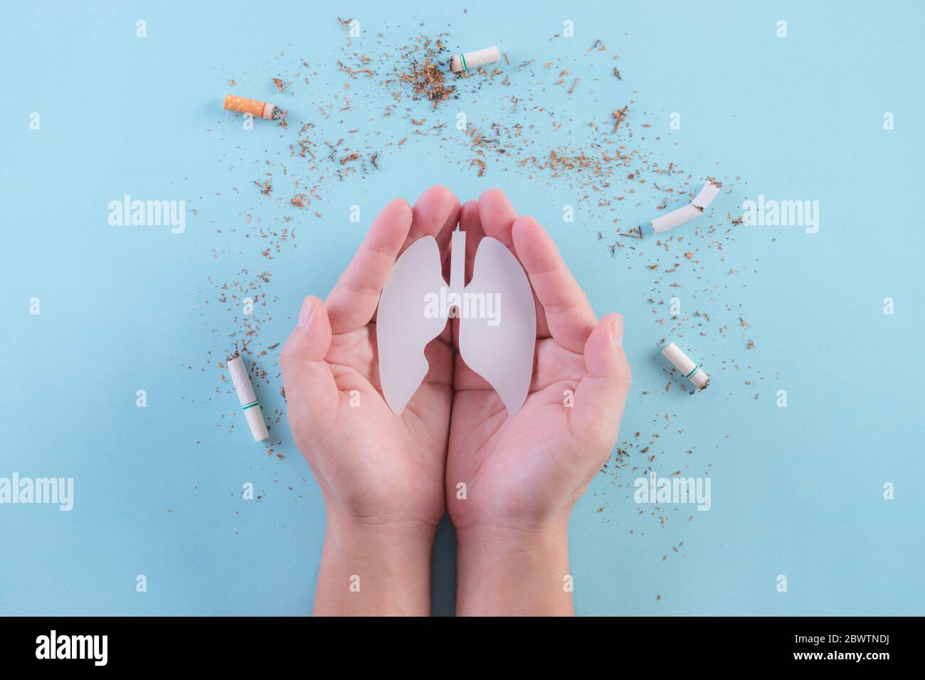 Hands protect lungs from cigarette on light blue background. Stop ...