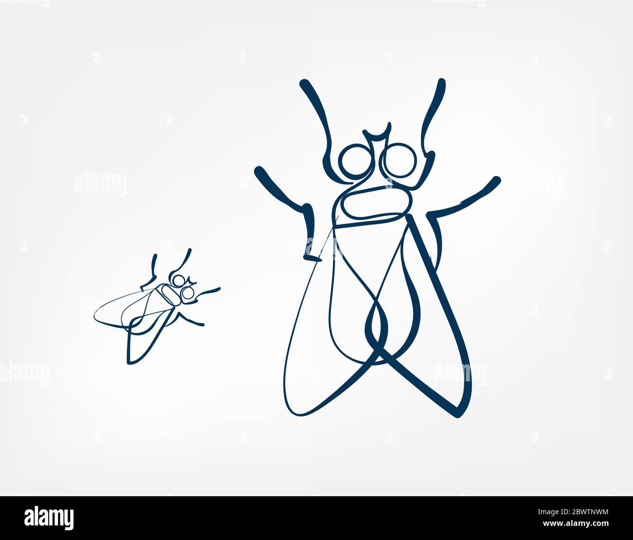 fly insect vector art line isolated doodle Stock Vector Image & Art - Alamy