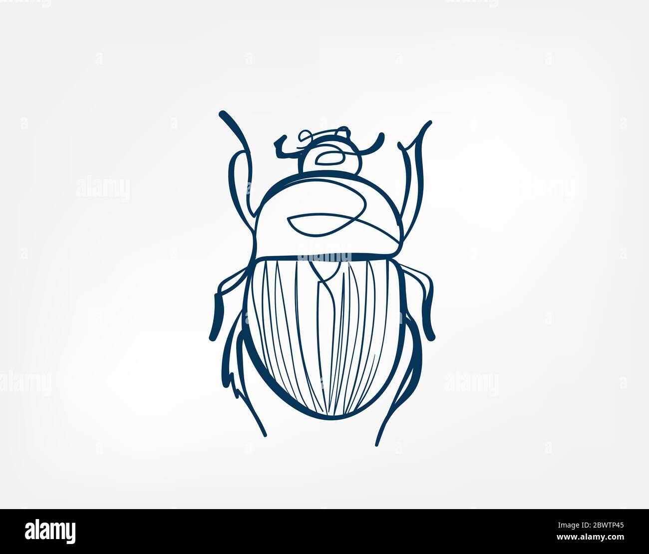beetle insect vector art line isolated doodle Stock Vector Image & Art ...