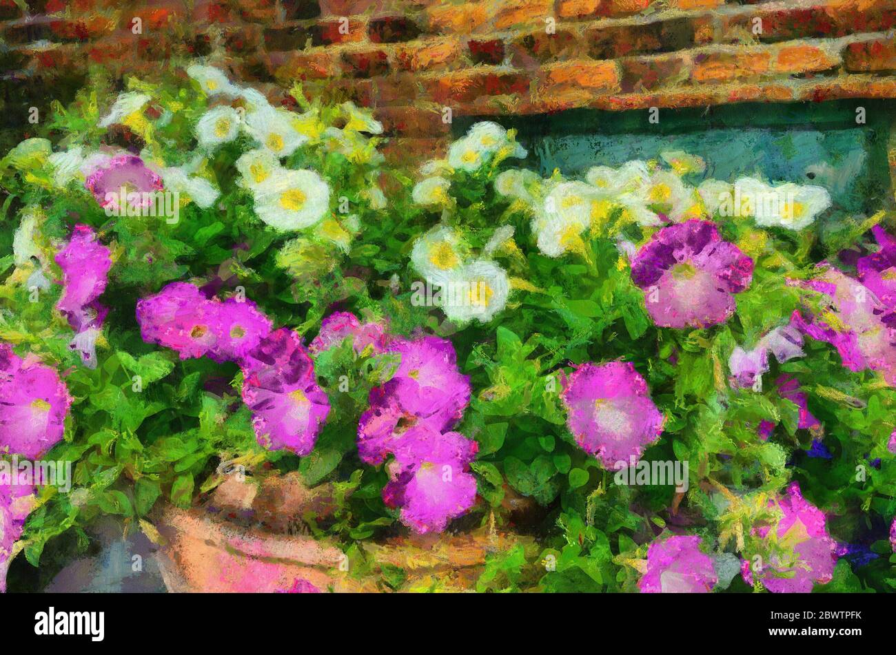 Purple and pale yellow bushes, flowers with bright purple spittoon ...