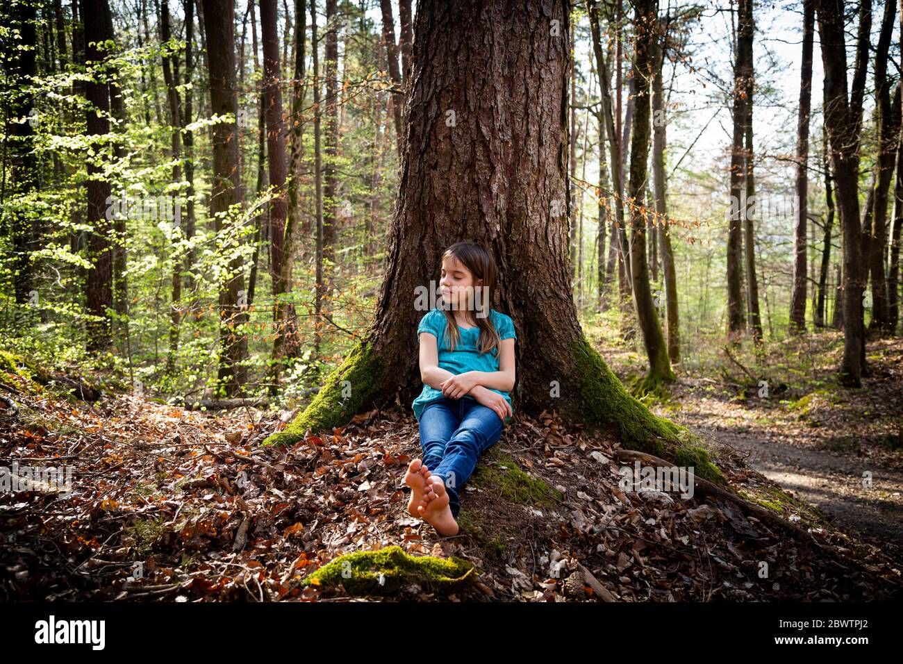 Forest leaning sitting hi-res stock photography and images - Alamy