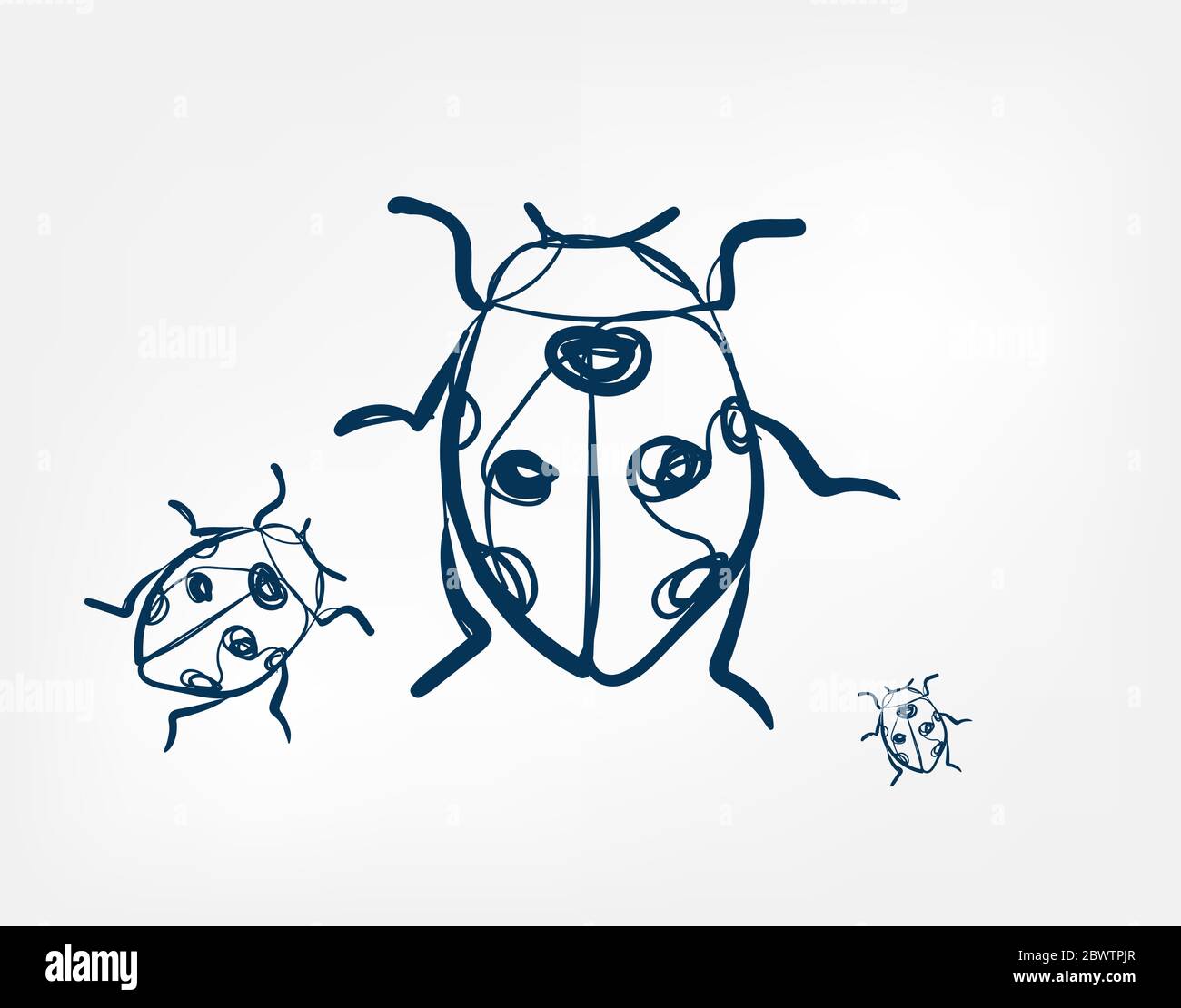 ladybug insect vector art line isolated doodle Stock Vector Image & Art ...