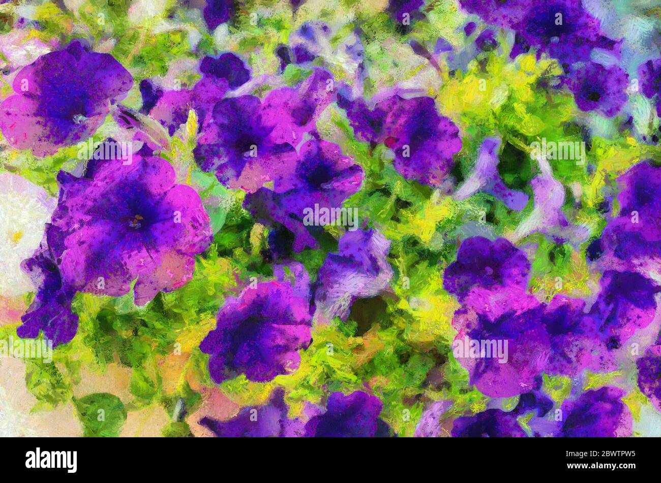 Purple flower bush The flowers have a bright purple spittoon ...