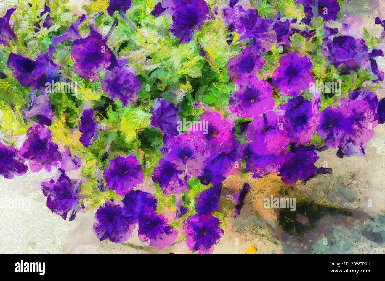 Purple flower bush The flowers have a bright purple spittoon ...