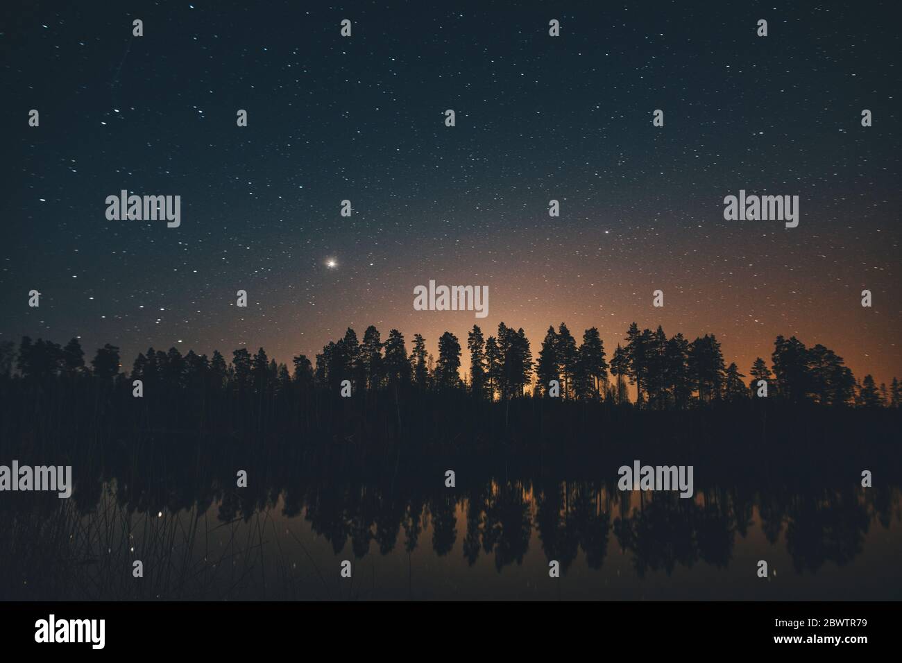 Starry sky over forest hi-res stock photography and images - Alamy