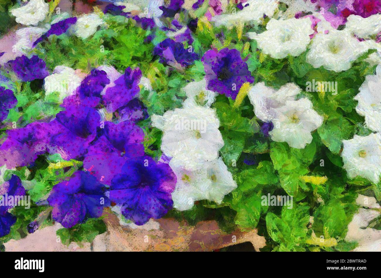 Purple flower and pink and white bushes The flowers have a spittoon ...