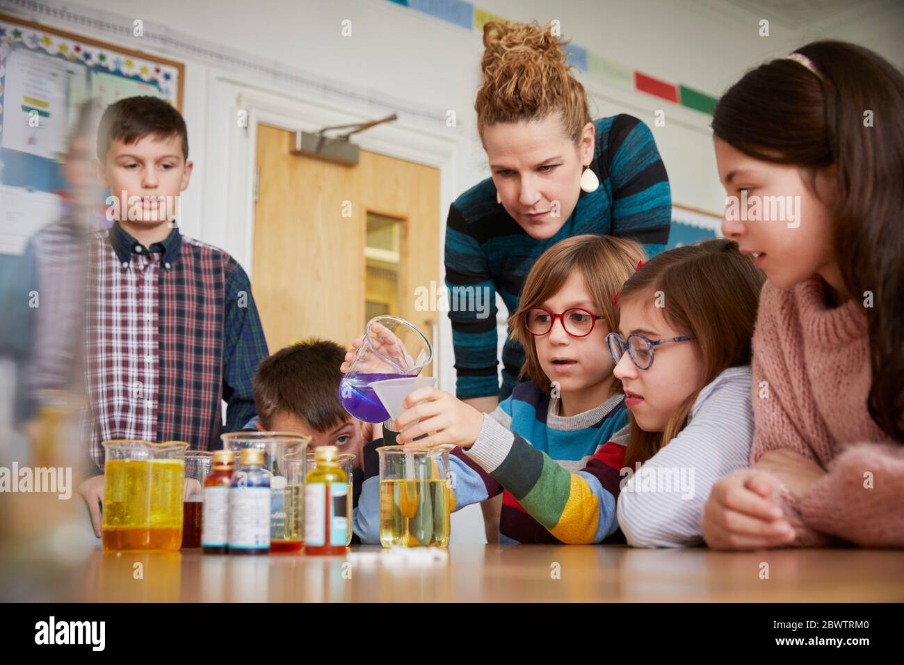 Children in a science lesson with a teacher Stock Photo - Alamy