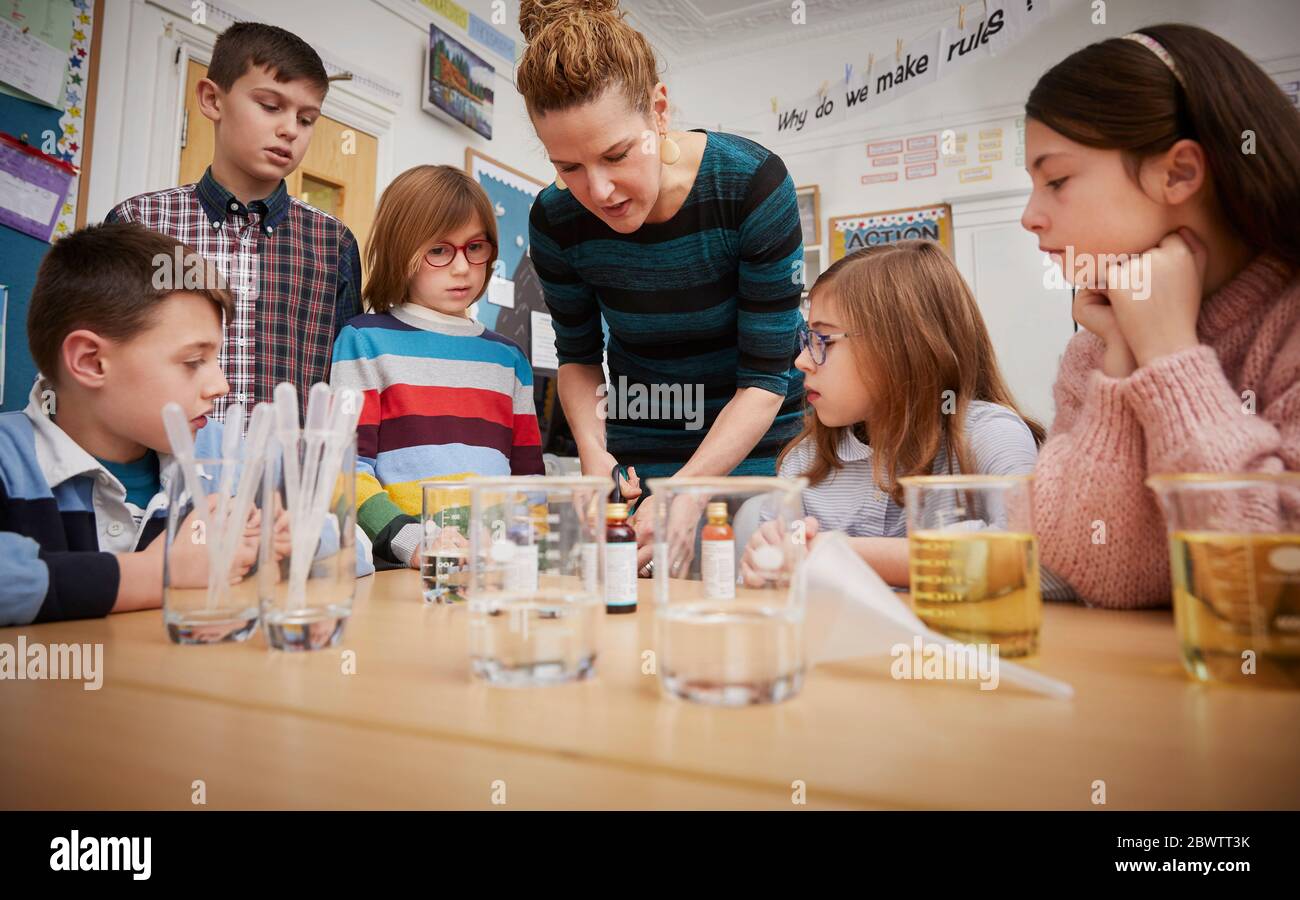 Children in a science lesson with a teacher Stock Photo - Alamy