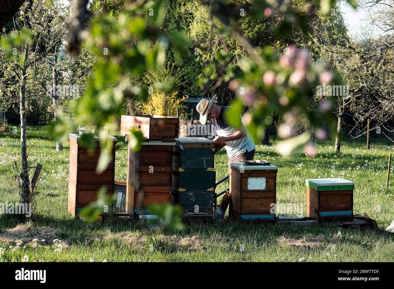 Working with trees hi-res stock photography and images - Alamy