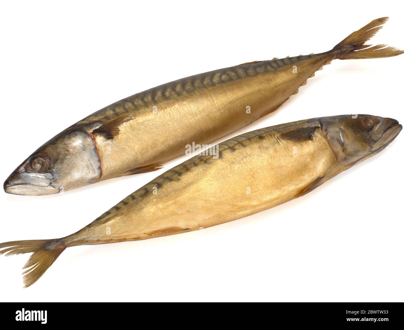 Cold smoked mackerel fish isolated on white background Stock Photo - Alamy