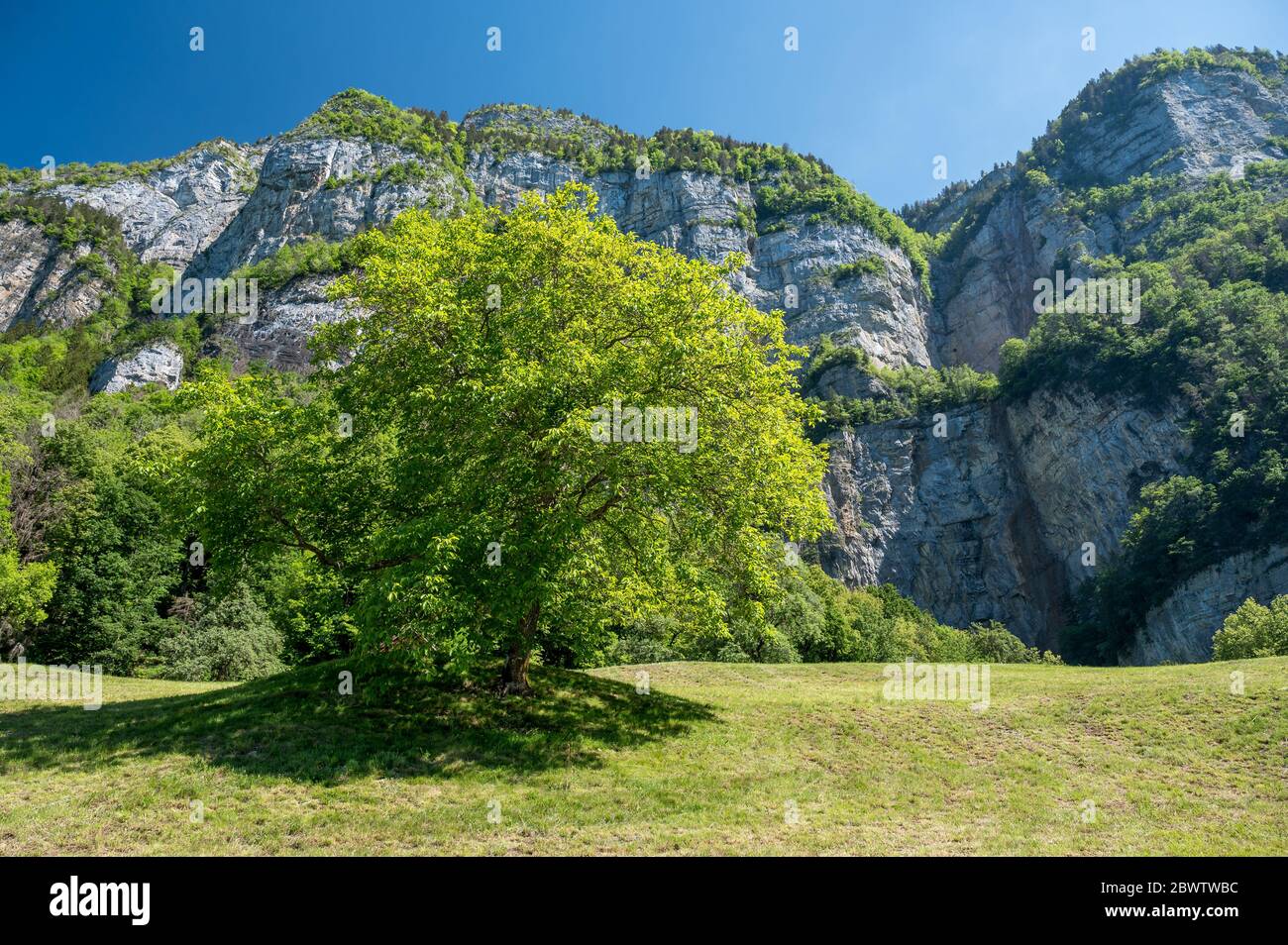 fast ausgetrocknete Serenbachfälle bei Amden am Walensee Stock Photo ...