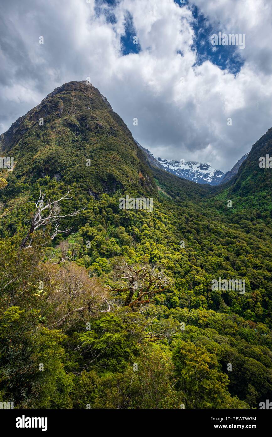 Scenic view mount christina mount crosscut seen pops view lookout hi ...
