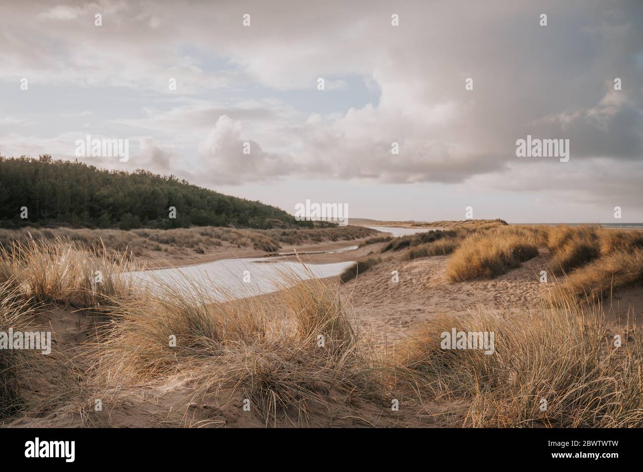 Sand Dunes at Holkham Beach, North Norfolk, England, UK Stock Photo - Alamy