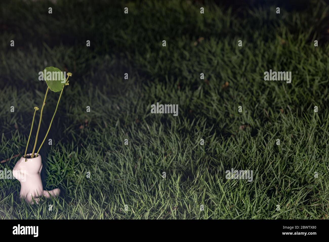 grass grow from top of head of little ceramic man sit on grass Stock ...