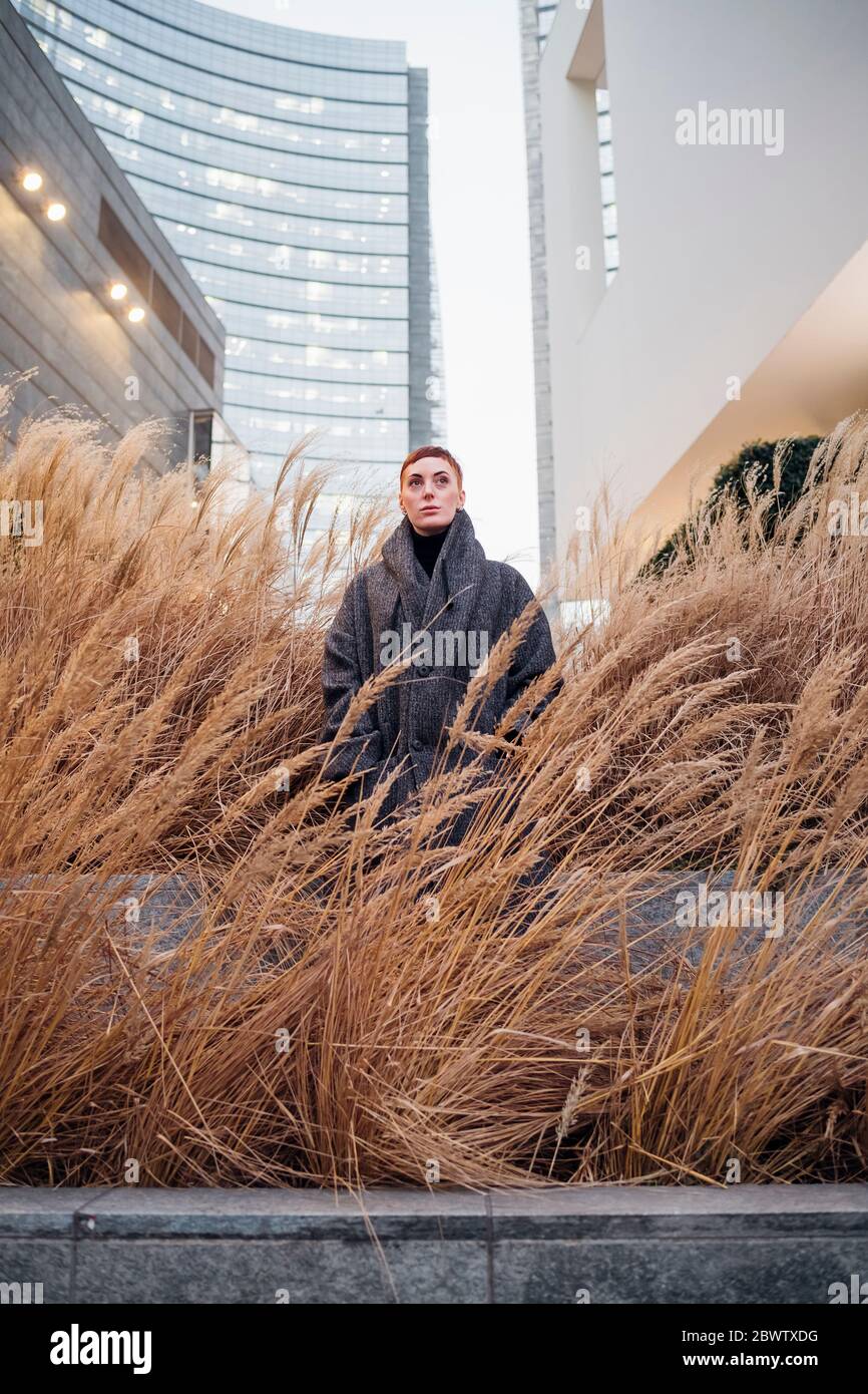 Among grasses hi-res stock photography and images - Alamy