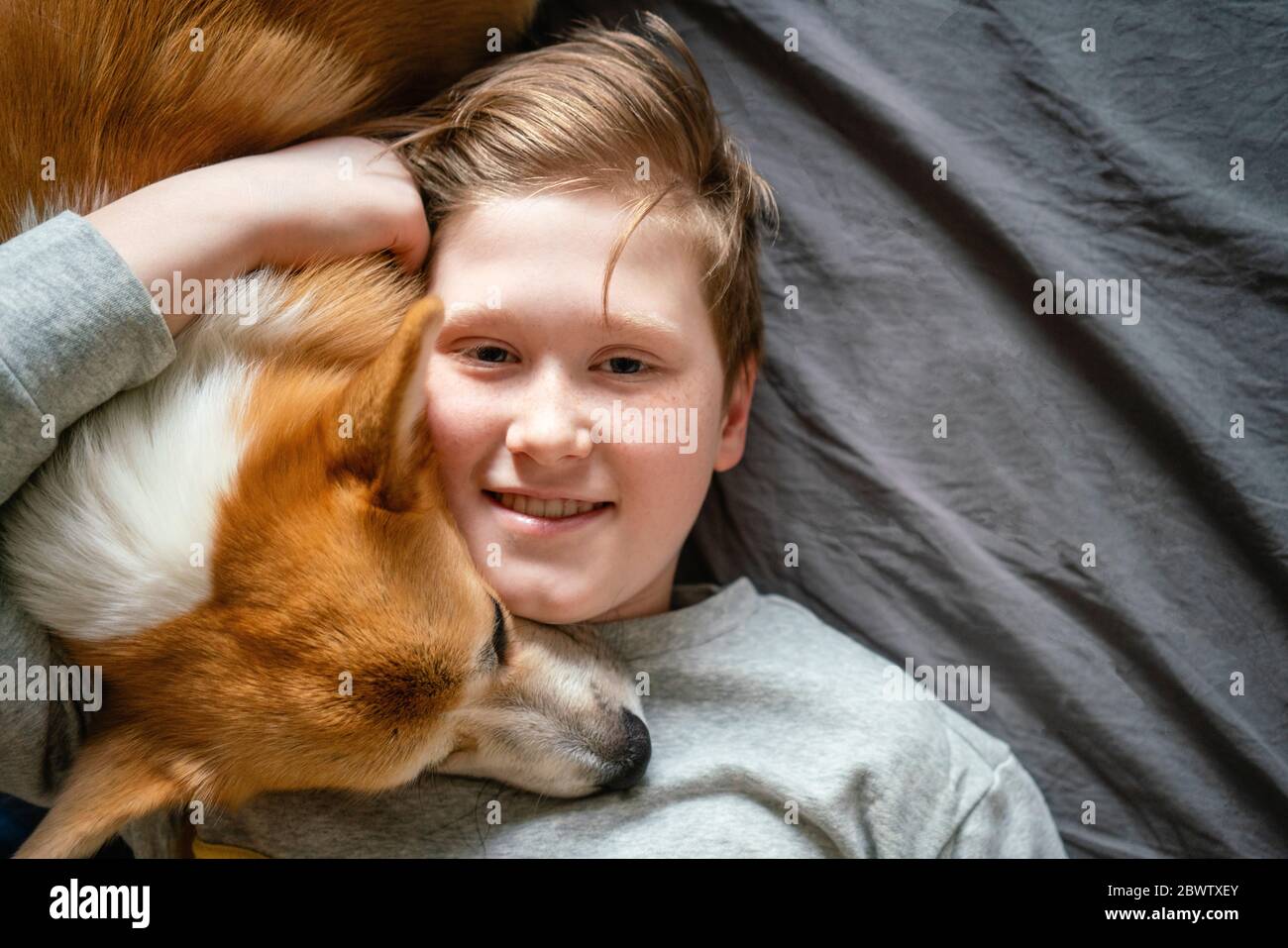 Dog lying bed bed hi-res stock photography and images - Alamy
