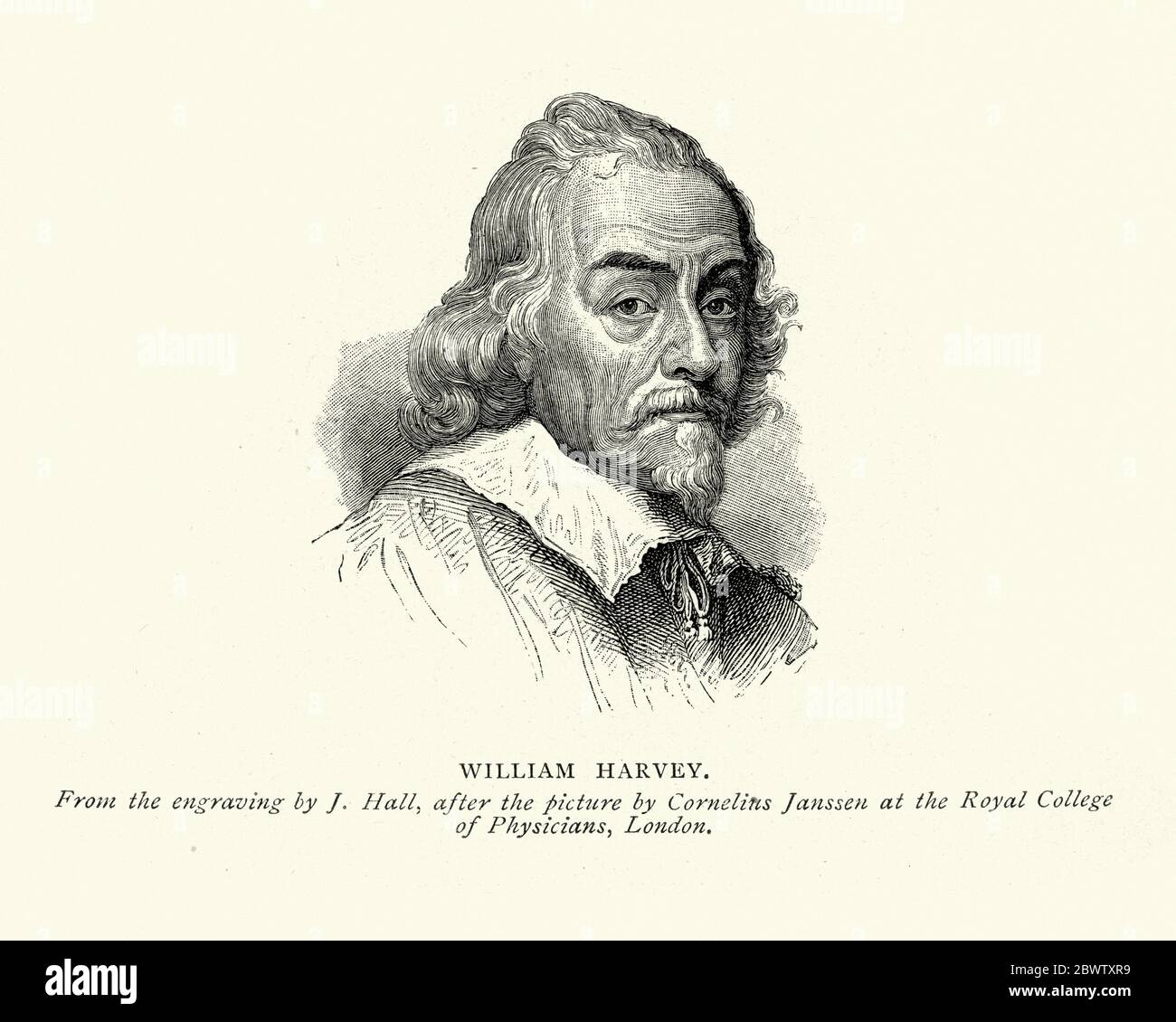 William Harvey an English physician who made influential contributions ...