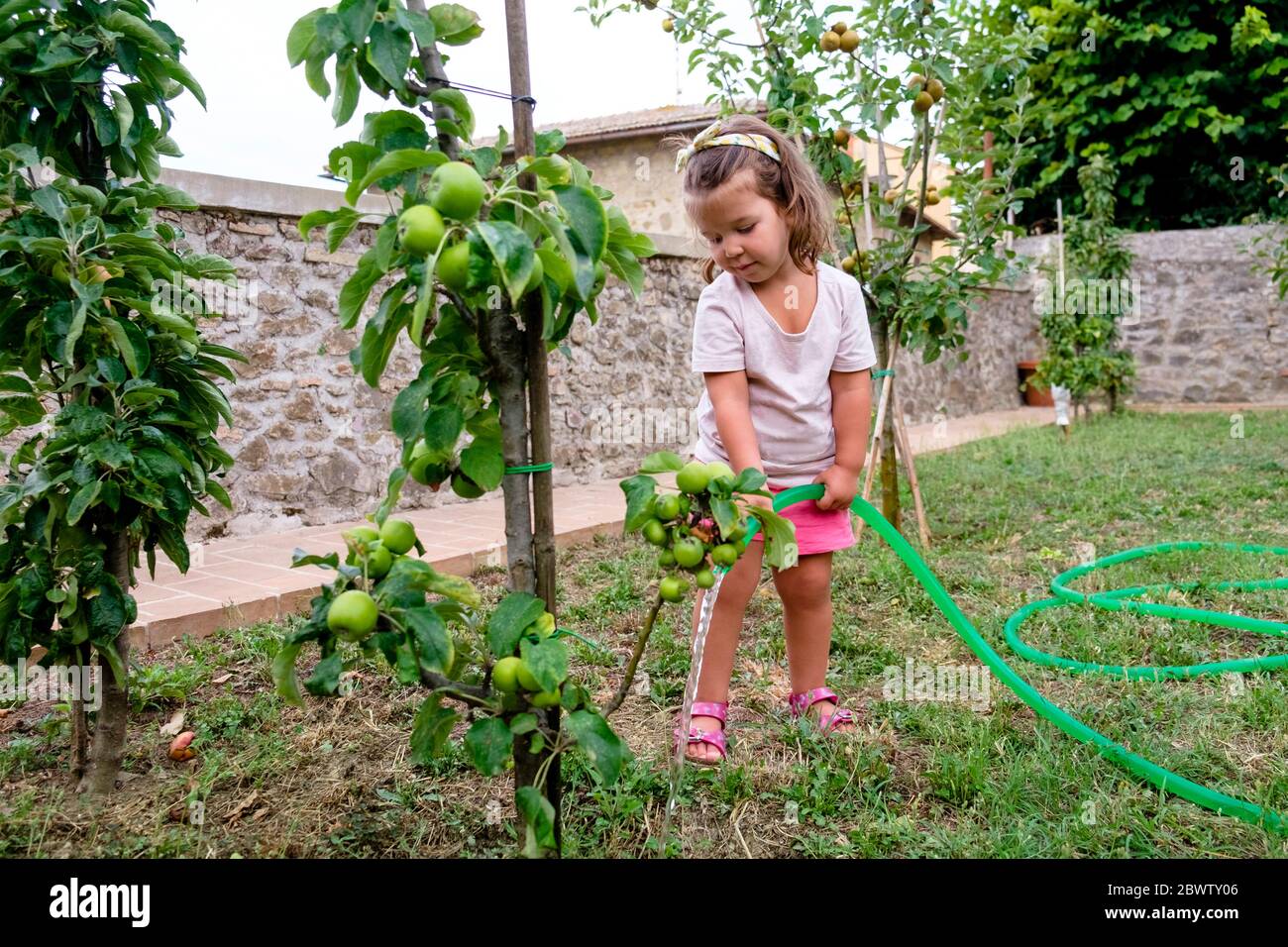 Little girl watering apple tree in the garden Stock Photo - Alamy