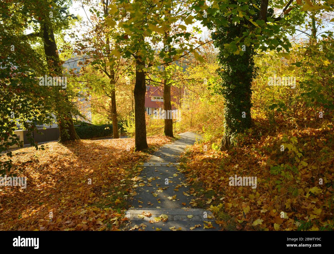 little path with colorful autumn leaves in town Stock Photo - Alamy
