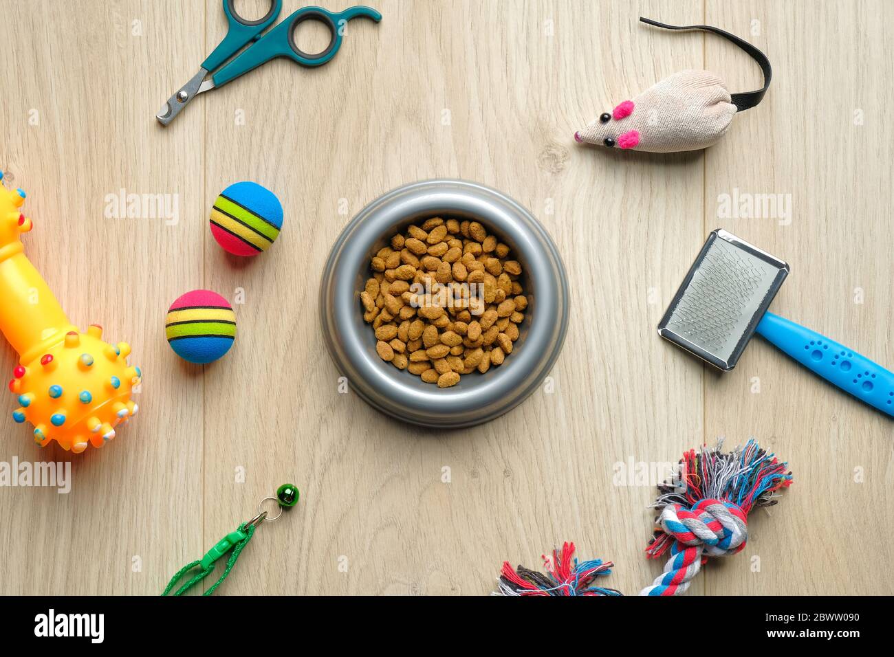 Mouse animal top view hi-res stock photography and images - Alamy