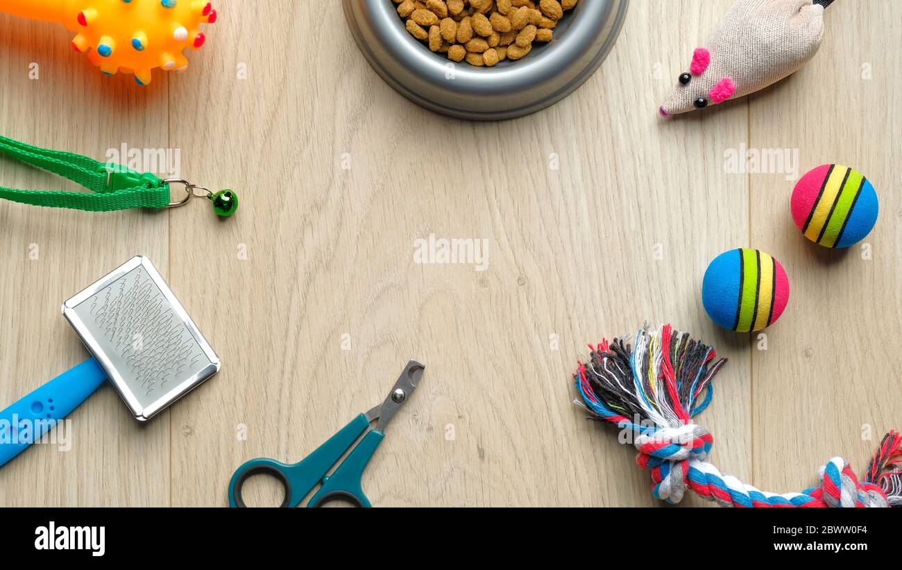 Pet care tools on wooden table top view. Flat lay composition with cat ...