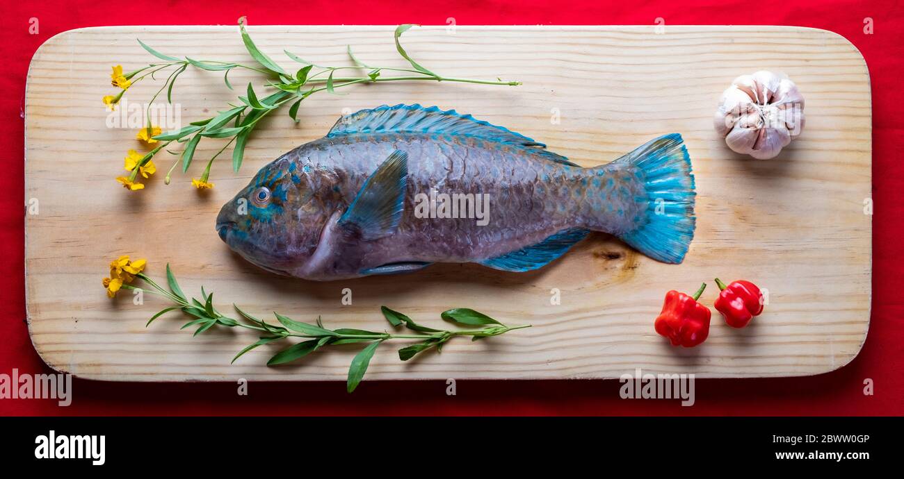 Parrotfish colour hi-res stock photography and images - Alamy