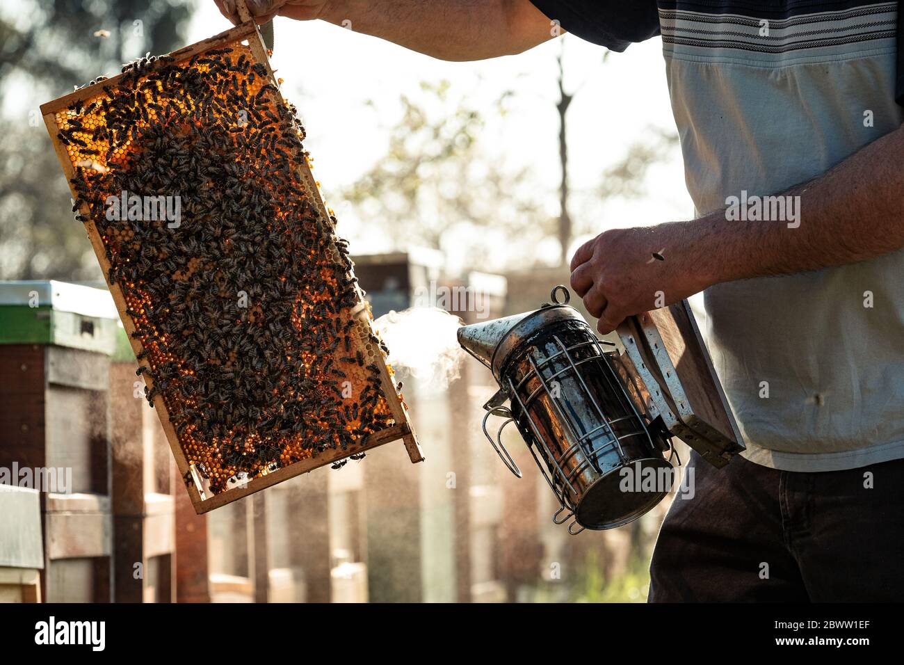 Blowing smoke hi-res stock photography and images - Alamy