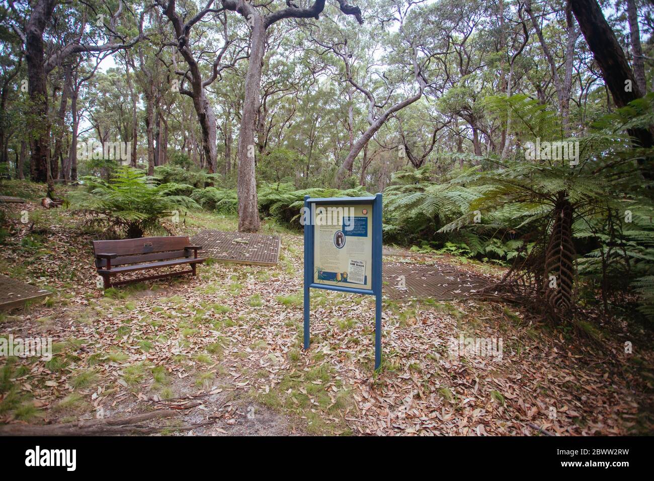 Goldfield history hi-res stock photography and images - Alamy